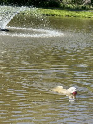 ELLISON PARK - Updated July 2025 - 72 Photos & 28 Reviews - 395 Richs ...