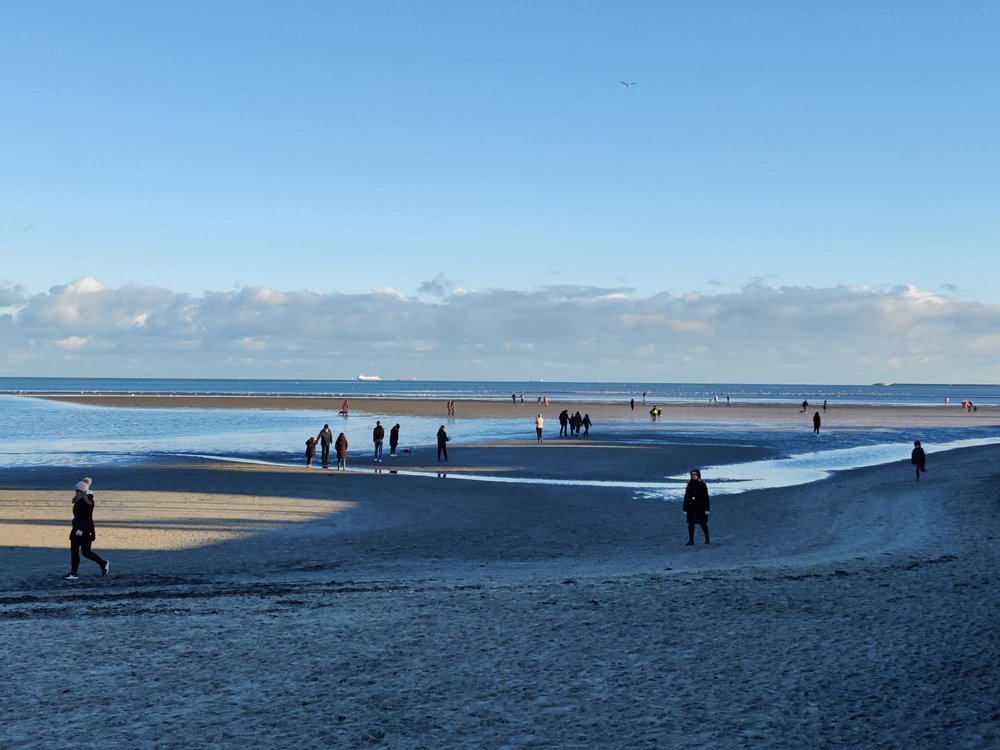 SANDYMOUNT STRAND - Updated September 2024 - 38 Photos & 24 Reviews ...