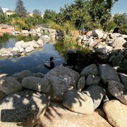 CSUN POND - 331 Photos & 86 Reviews - 18111 Nordhoff St, Los Angeles ...