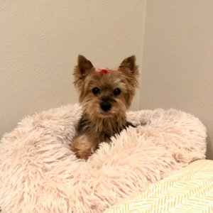 SLATON VETERINARY HOSPITAL - Updated March 2025 - 95 Photos & 155 ...