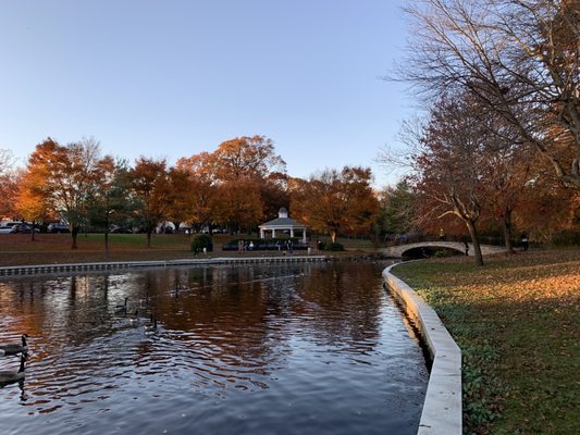 HALLS POND PARK - Updated October 2025 - 22 Photos - 671 Nassau Blvd ...