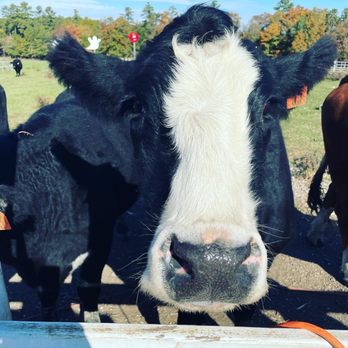 HANOVER VEGETABLE FARM - Updated January 2026 - 42 Photos & 26 Reviews ...