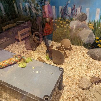 BOONSHOFT MUSEUM OF DISCOVERY - Updated August 2025 - 173 Photos & 77 ...