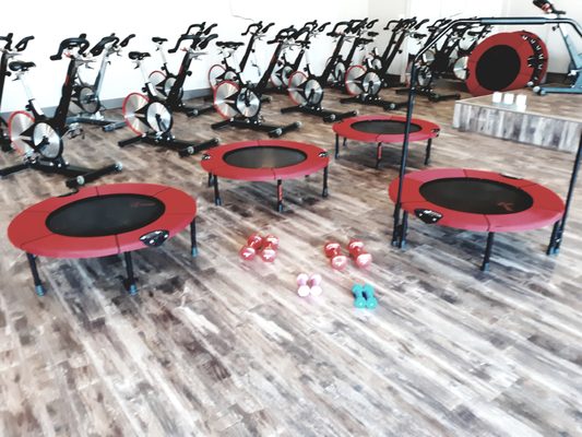 PRIMAL REBOUND STUDIO - Updated January 2026 - 10 Photos - 5660 Clinton ...