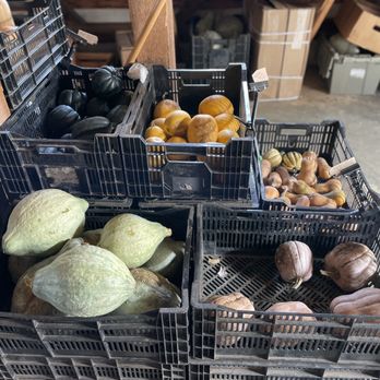 SUB EDGE FARM - Updated November 2024 - 105 Photos - 199 Town Farm Rd ...