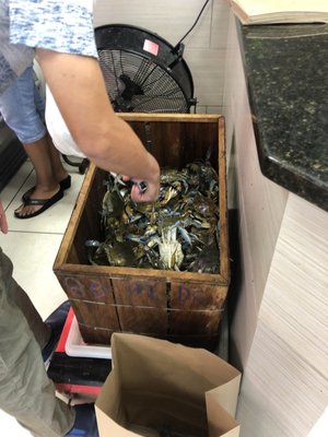 D’OCEAN FISH MARKET - 41 Photos & 37 Reviews - 7803 E Colonial Dr ...