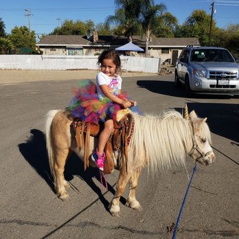PONYLANDIA PONY RIDES - Updated June 2025 - 164 Photos & 22 Reviews ...