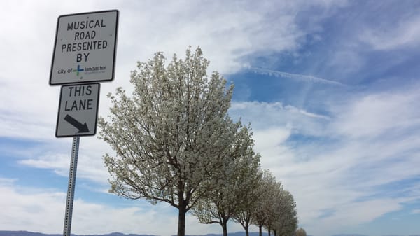 MUSICAL ROAD - Updated January 2026 - 55 Photos & 141 Reviews - 3315 W ...