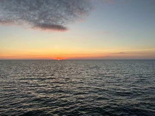 HOAK’S RESTAURANT - Updated December 2025 - 185 Photos & 263 Reviews ...