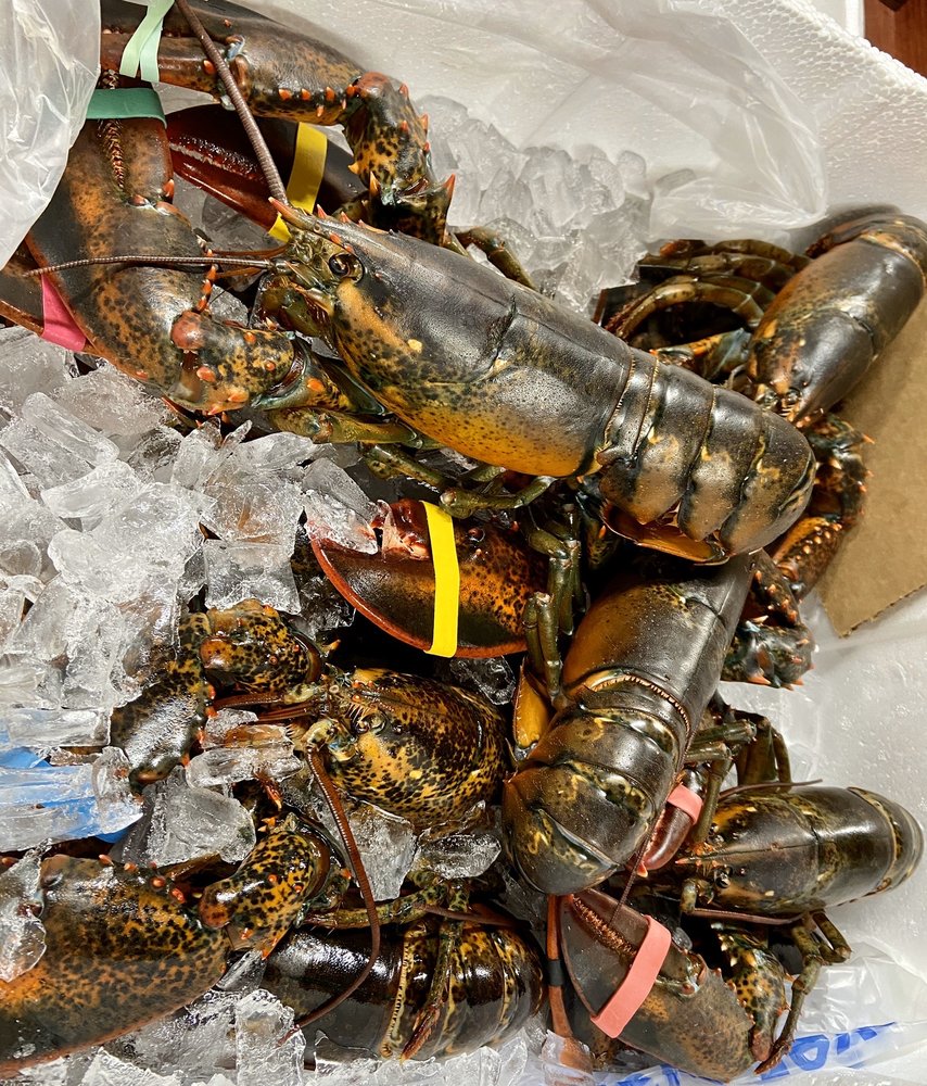 PACIFIC RIM FOODS - 313 Photos & 93 Reviews - 229 West Kilgore Rd ...