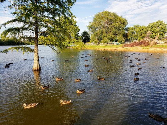 JACOBSON PARK - Updated August 2025 - 70 Photos & 38 Reviews - 4001 ...