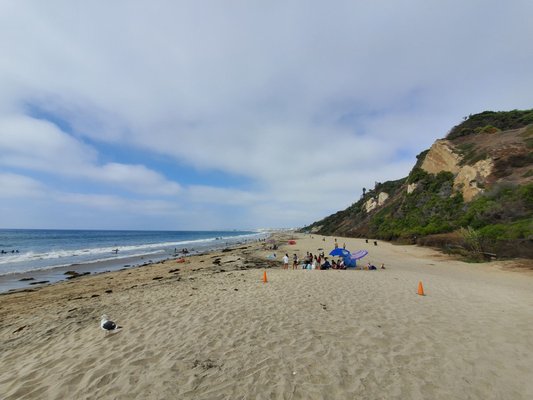 PALOS VERDES BEACH - Updated September 2024 - 174 Photos & 42 Reviews ...