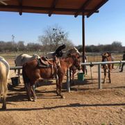 RIVER RANCH TEXAS HORSE PARK - 60 Photos & 21 Reviews - 811 Pemberton ...