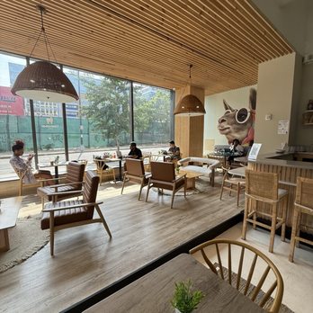 LLAMABAR - Updated December 2025 - 107 Photos & 48 Reviews - 1 M St SE ...