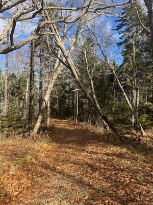 TIMBER POINT TRAIL - Updated July 2025 - 30 Photos - 1 Timber Point Rd ...