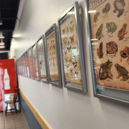 MOJO’S - Updated December 2025 - 51 Photos & 30 Reviews - 1001 Day Hill ...