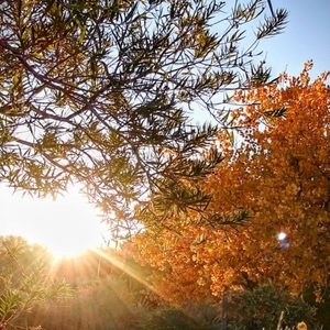 PASEO DEL BOSQUE TRAIL - Updated September 2024 - 111 Photos & 26 ...