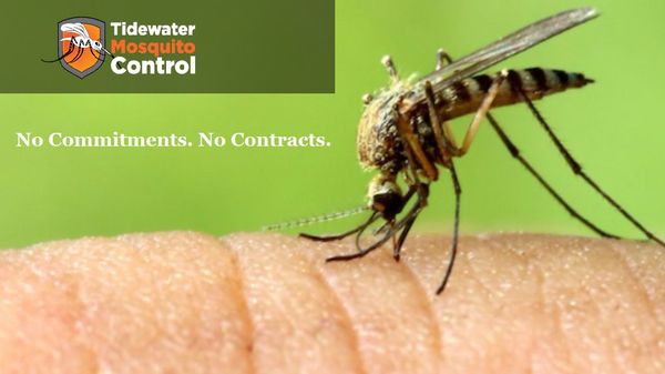 TIDEWATER TURF, TICK, TREE & MOSQUITO CONTROL - Updated May 2025 ...