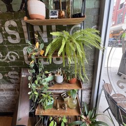 BETWEEN THE BRICKS - Updated December 2025 - 54 Photos & 48 Reviews ...