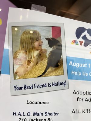 HALO RESCUE - Updated December 2025 - 23 Photos & 15 Reviews - 710 ...