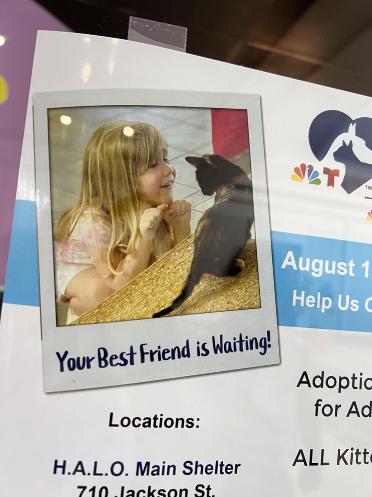 HALO RESCUE - Updated December 2025 - 23 Photos & 15 Reviews - 710 ...