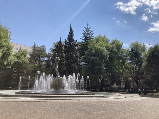 PLAZA RÍO DE JANEIRO - 35 Photos & 14 Reviews - Calle de Durango S/N ...