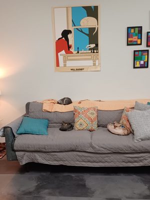 THE RADICAL CAT - 32 Photos & 15 Reviews - 1717 S Wells Ave, Reno ...