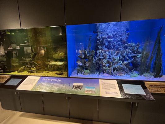 ANNAPOLIS MARITIME MUSEUM & PARK - Updated January 2026 - 76 Photos ...