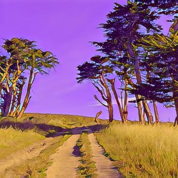 TOMALES POINT TRAIL - TULE ELK PRESERVE - Updated December 2025 - 948 ...