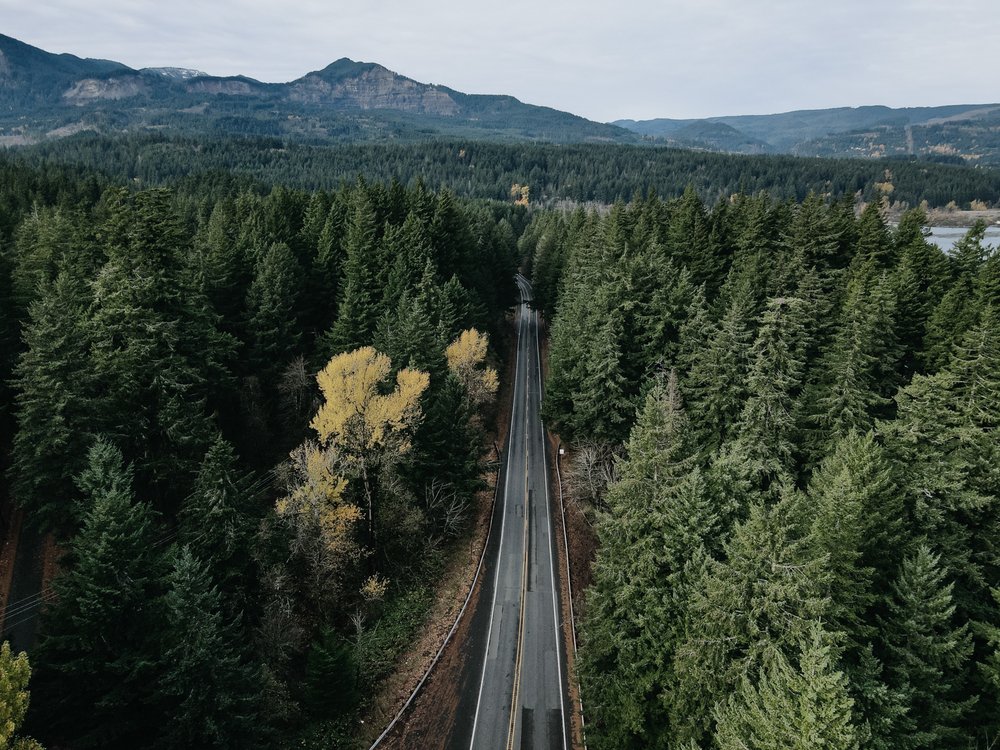 ICONIC MOTION - Updated May 2024 - 26 Photos - Phoenix, Arizona - Video ...