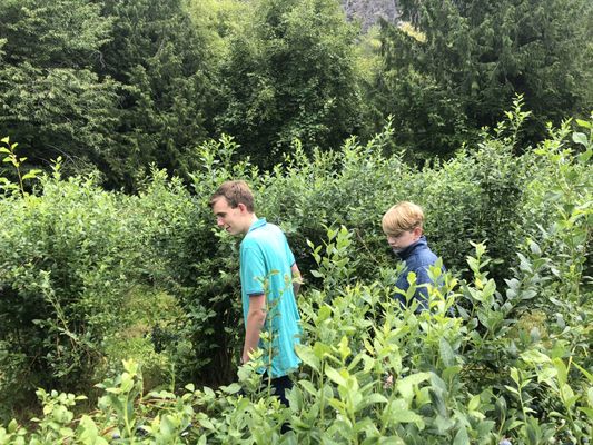 BYBEE FARMS - 48 Photos & 24 Reviews 【42930 SE 92nd St, North Bend ...