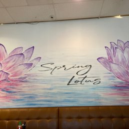 SPRING LOTUS RESTAURANT - Updated August 2025 - 69 Photos & 145 Reviews ...