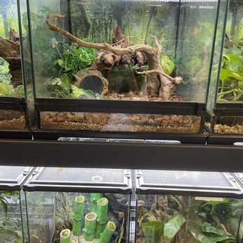 NATURE’S REEF & REPTILE - Updated December 2025 - 52 Photos & 30 ...