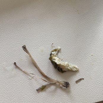 JINYE CAFE - Updated February 2025 - 84 Photos & 34 Reviews - 694 ...