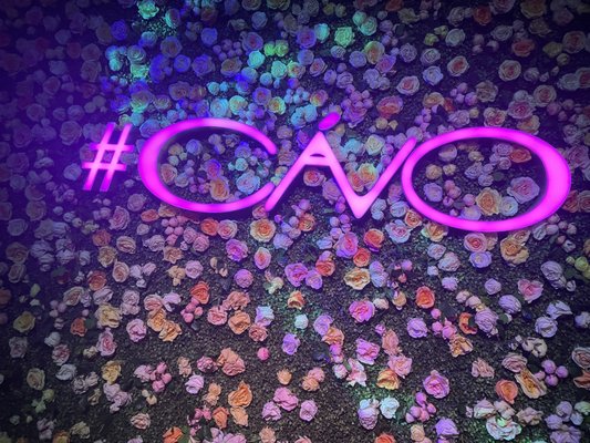 CAVO LOUNGE - Updated December 2025 - 191 Photos & 155 Reviews - 9108 ...