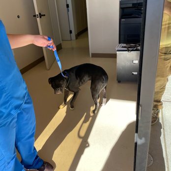 SANTA BARBARA HUMANE- SANTA MARIA CAMPUS - Updated May 2025 - 24 Photos ...