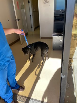 SANTA BARBARA HUMANE- SANTA MARIA CAMPUS - Updated October 2025 - 24 ...