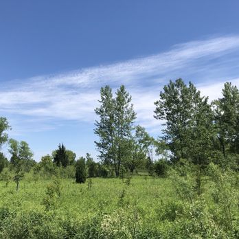 SPRINGBROOK PRAIRIE FOREST PRESERVE - Updated May 2025 - 125 Photos ...
