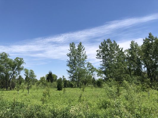 SPRINGBROOK PRAIRIE FOREST PRESERVE - Updated June 2024 - 121 Photos ...