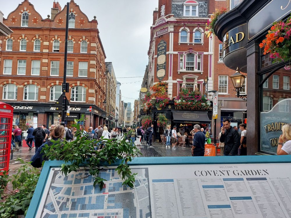 THE WHITE LION - Updated June 2024 - 53 Photos & 35 Reviews - 24 James ...