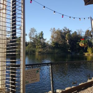 ANTHONY’S FISH GROTTO - 1141 Photos & 1493 Reviews - 9530 Murray Dr, La ...