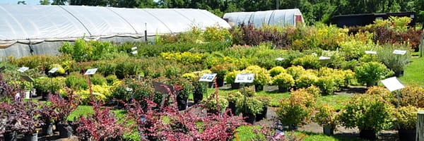 MEYERS NURSERY - Updated September 2025 - 14 Photos - 1685 Independence ...