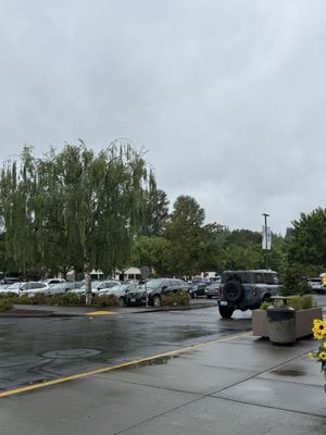 QFC - Updated October 2025 - 69 Photos & 55 Reviews - 15800 Redmond Way ...