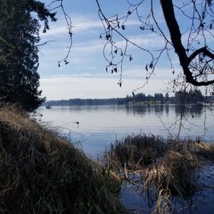 SPANAWAY PARK - 49 Photos & 10 Reviews - Parks - 15588 Bressmann Blvd S ...