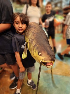 BASS PRO SHOPS - Updated December 2025 - 309 Photos & 78 Reviews ...