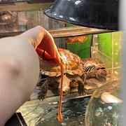 AQUARIUM & SHARK LAB BY TEAM ECCO - TEMP. CLOSED - 37 Photos & 14 ...