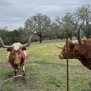 BELTANE RANCH - 186 Photos & 85 Reviews - 11775 Sonoma Hwy, Sonoma, CA ...