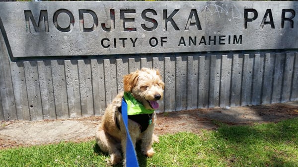 MODJESKA PARK - 60 Photos & 20 Reviews - 1331 S Nutwood St, Anaheim ...