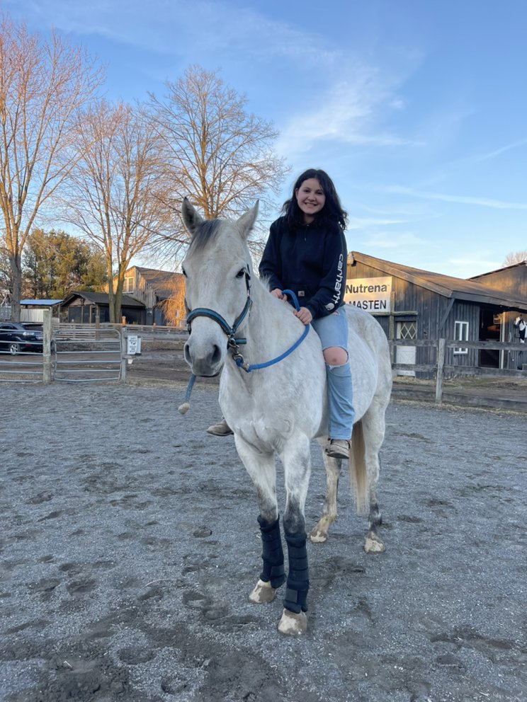 STONE HORSE FARM - Updated August 2025 - 40 Photos - 38 S Quaker Ln ...