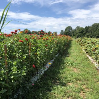 HOWARD FAMILY FARM - Updated January 2026 - 68 Photos & 12 Reviews ...